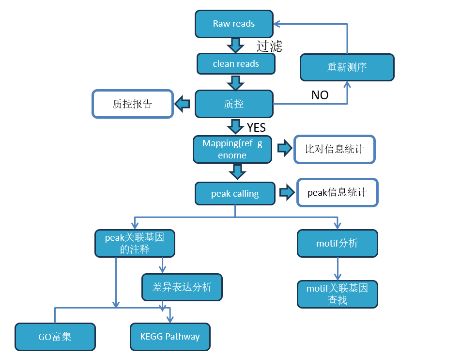ac4C acRIP-seq：抗体法鉴定全转录组的ac4C修饰位点-广州新蓝基因 专注表观测序服务